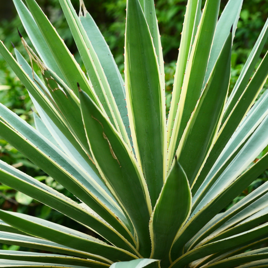 How it begins... – Walter Lang GmbH