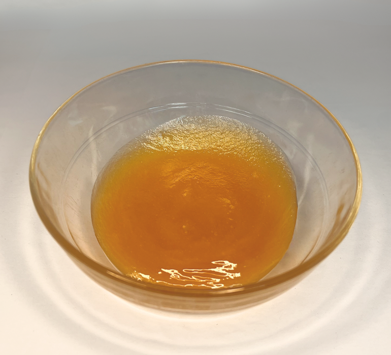 Bio-Honig aus aller Welt – Walter Lang GmbH